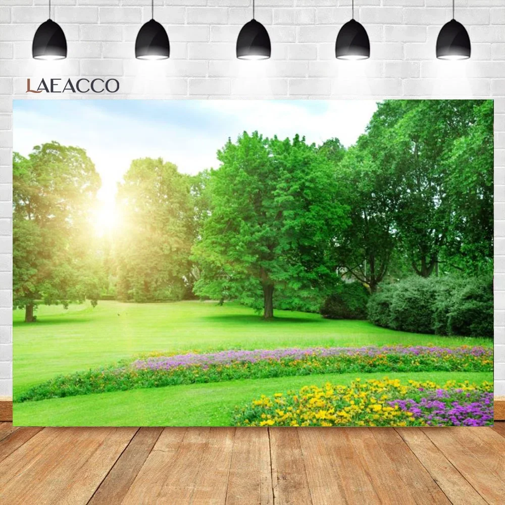 Landscape Backdrops