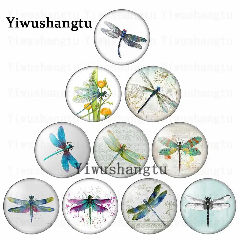 Lib-lula-de-belleza-de-insectos-alada-cabujones-redondos-de-cristal ...