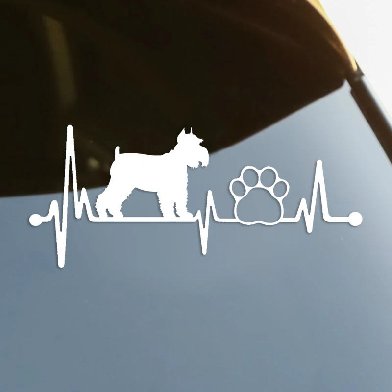 Schnauzer Car Sticker - gift send