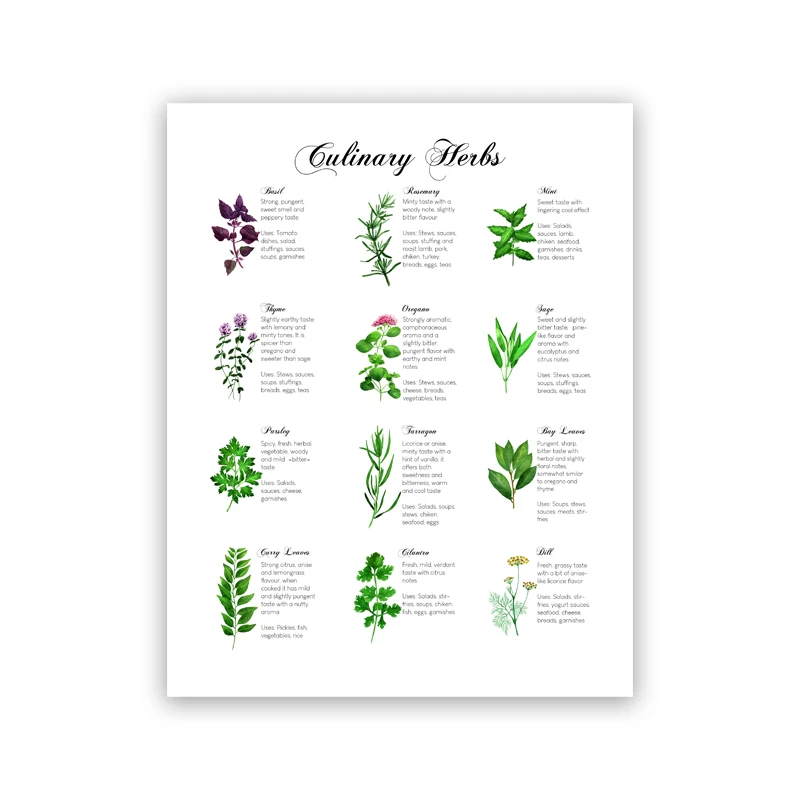 Aromatic Herbs Chart