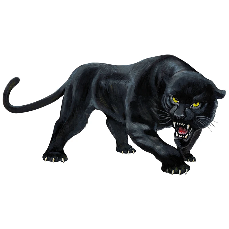 Car-Sticker-Animal-Black-Panther-Roaring-Colorful-Funny-and-Decals-Auto ...