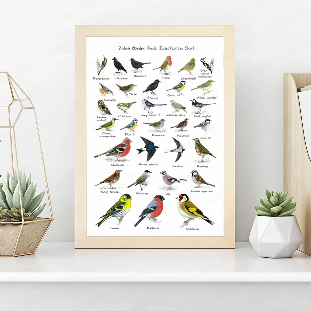 British-Garden-Birds-Print-Poster-Birds-Identification-Chart-Wildlife ...