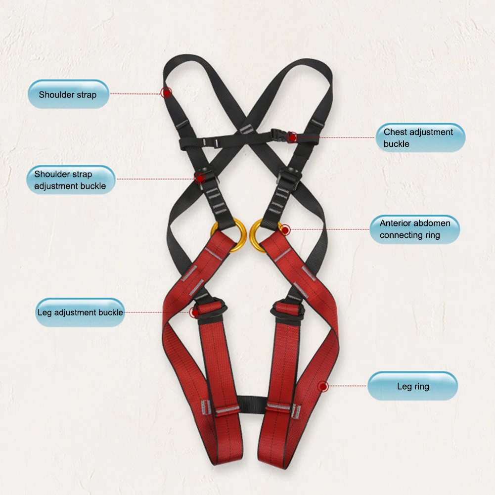 Full Body Harness Safety Training at Margie Ronald blog