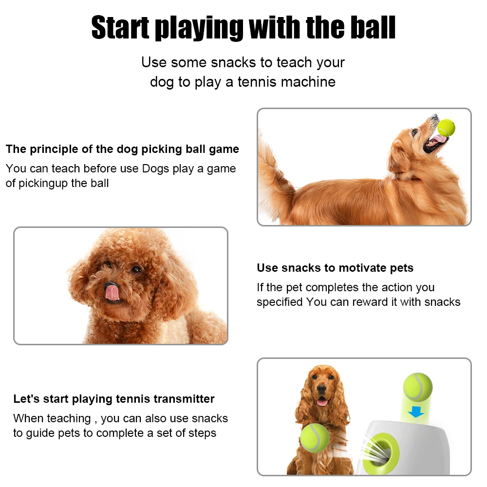 Dog Ball Automatic Tennis Launcher | That's So Fetch!