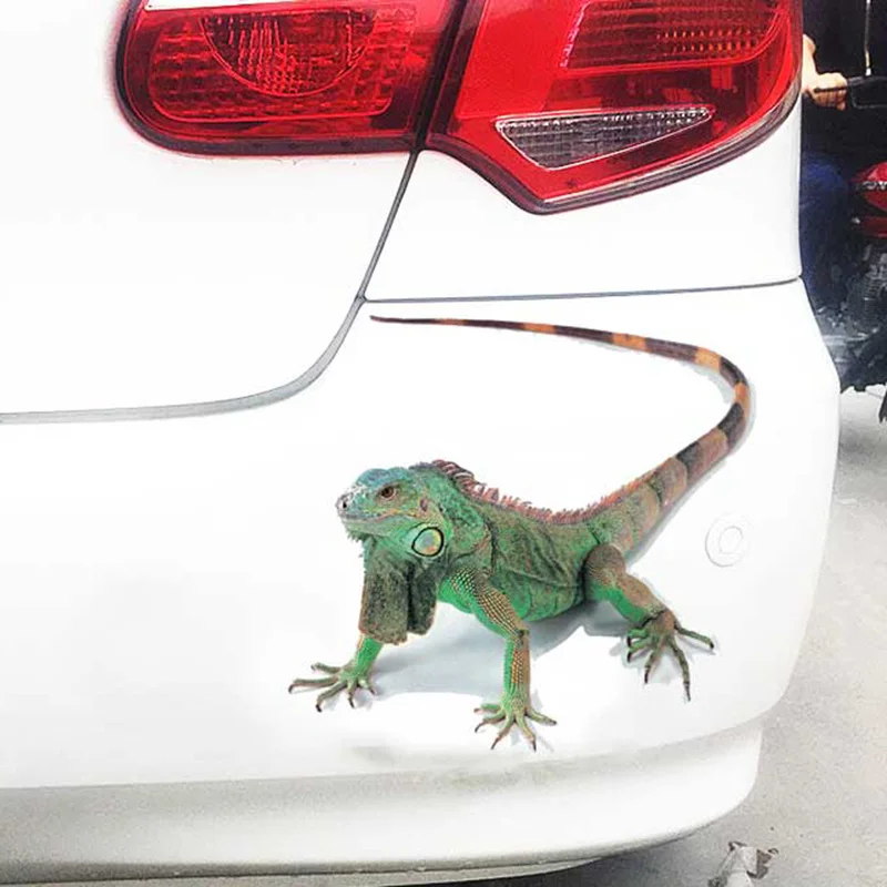 Lizard Car