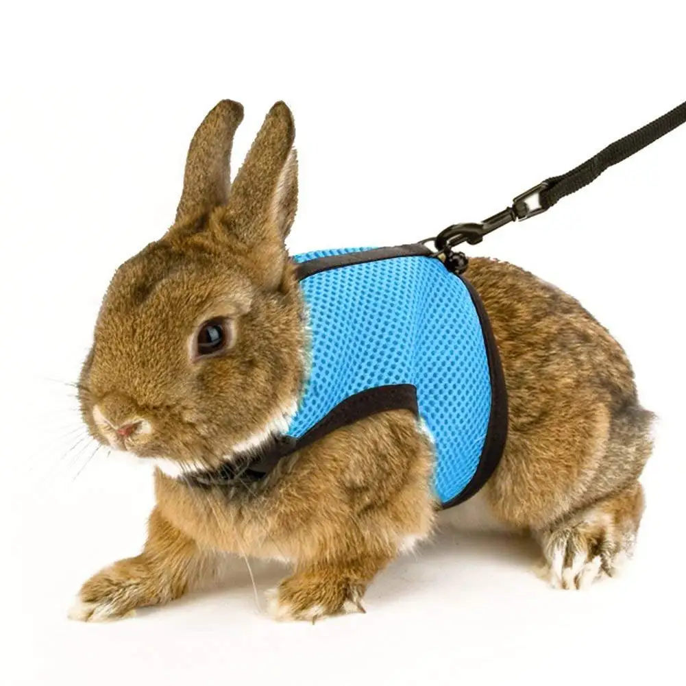 Pet Mesh Soft Harness With Leash Traction Rope Small Animal Vest for ...