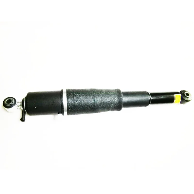 25979394 25979393 Air Suspension Strut For Rear Left Right For Gmc Air ...