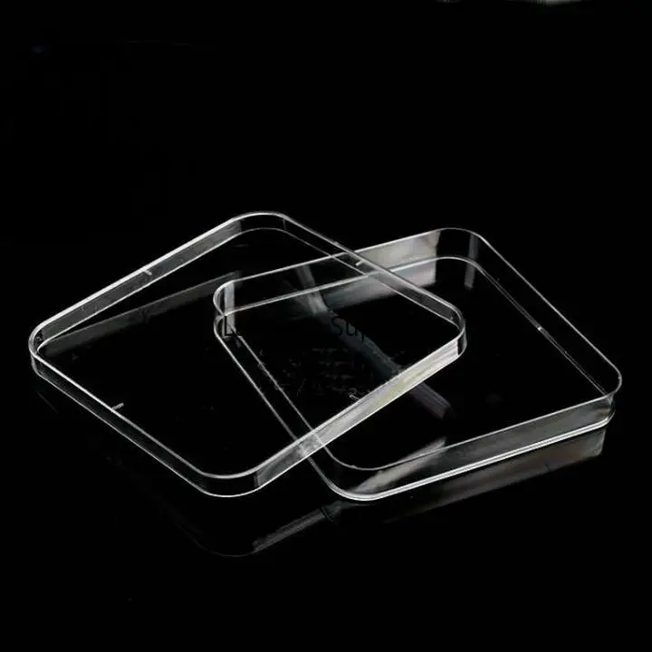 10pcs-lot-Disposable-13cmx13cm-Plastic-Polystyrene-Square-Petri-Dish ...