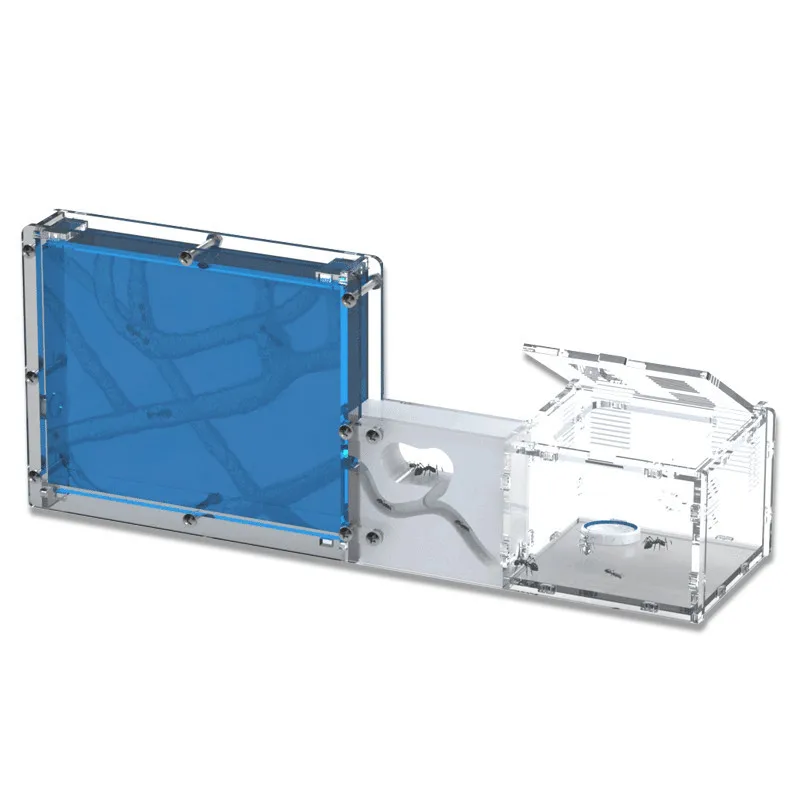 Ant-Housing-Nest-Insect-Cage-Farms-Feed-Plastic-Acrylic-Display ...