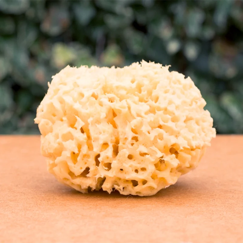 Natural-Sea-Wool-Sponge-Replacement-Dead-Skin-Remover-Exfoliating ...