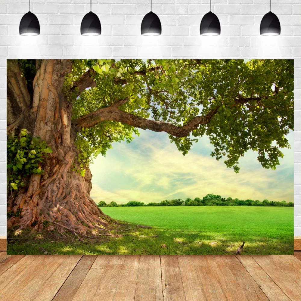 Laeacco Nature View 3x5ft Vinyl Photography Background Green Trees and ...