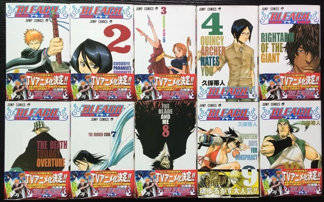 Bleach Manga Cover 60