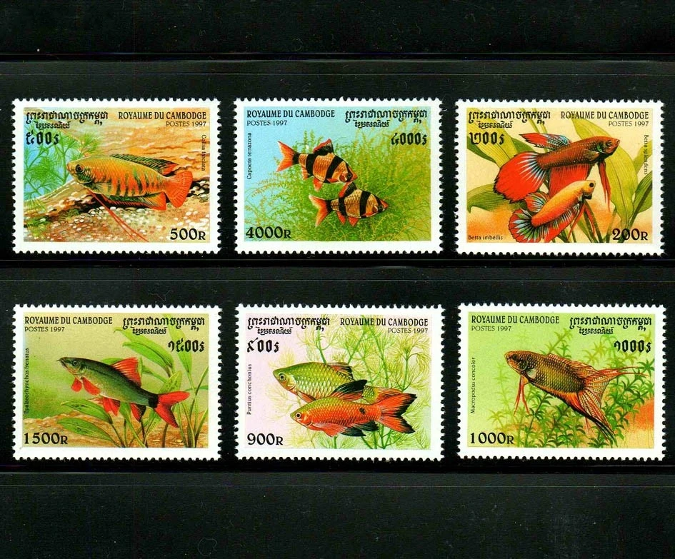 6Pcs-Set-New-Cambodia-Post-Stamp-1997-Tropical-Fish-Stamps-MNH.jpg