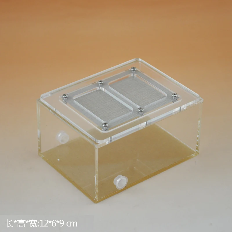 Acrylic With Lid Feeding Box Feeding Box Spider Box Kun Reptile Box Ant ...
