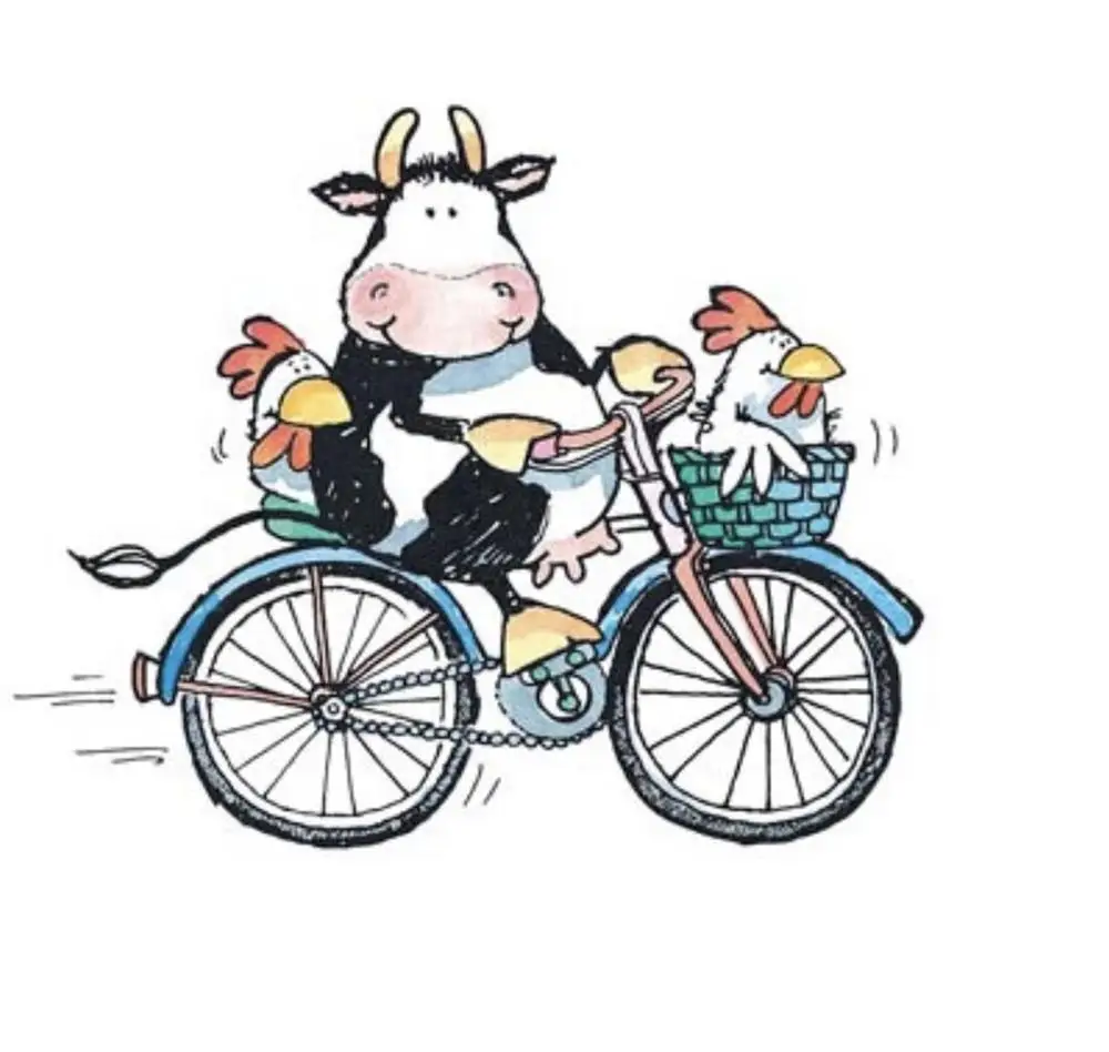 Cow Riding A Bike