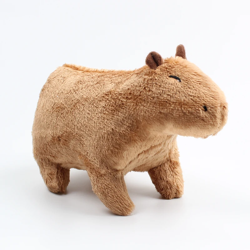 Capybara Knuffel Discounted Buy | www.pinnaxis.com