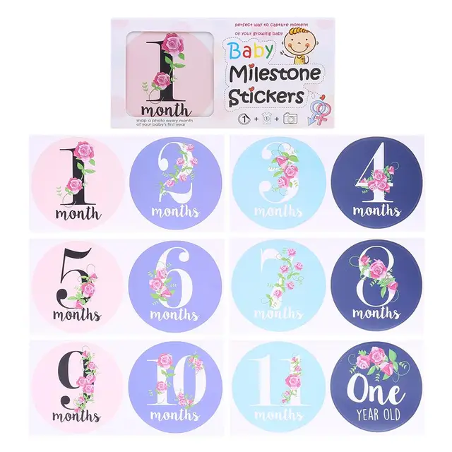 Baby Pregnant Women Monthly Photograph Sticker Fun Month Milestone ...