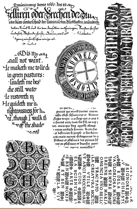 Store Home Products Feedback