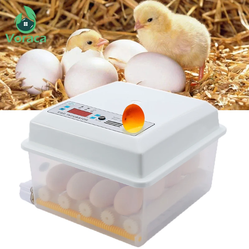 Eggs-Incubator-Brooder-Poultry-Hatcher-Bird-Quail-Duck-Chick-Hatchery ...