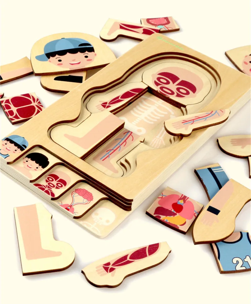 Montessori Learning Human Body | Montessori Wooden Puzzle Body - Puzzle ...