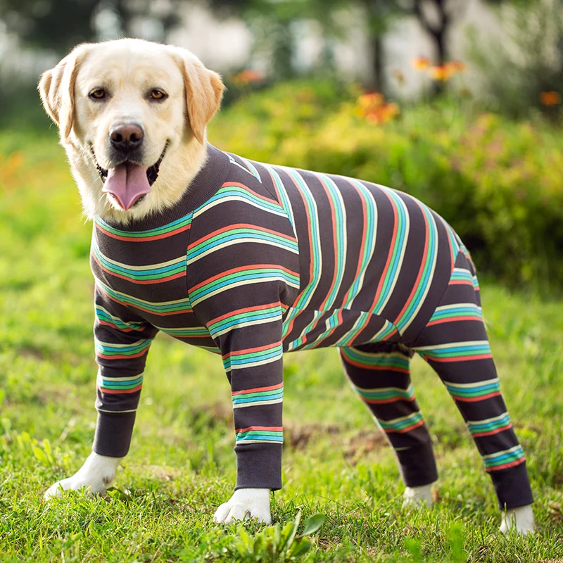 Labrador Dog Pajama