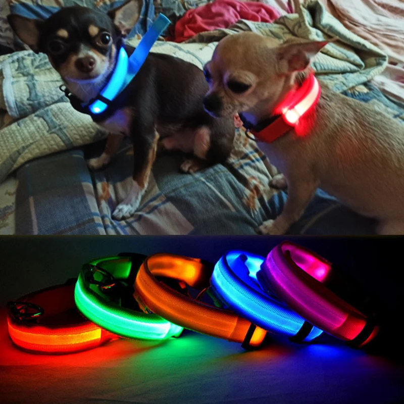 Usb Charging Led Dog Collar Safety Led Luminous Dog Pet Light Up Collar ...