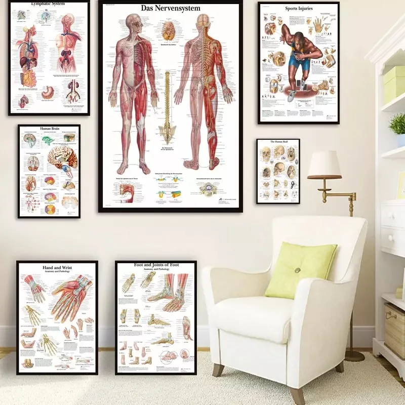 Human-Anatomy-Diagram-Human-Body-Education-Poster-Hospital-Diagram ...
