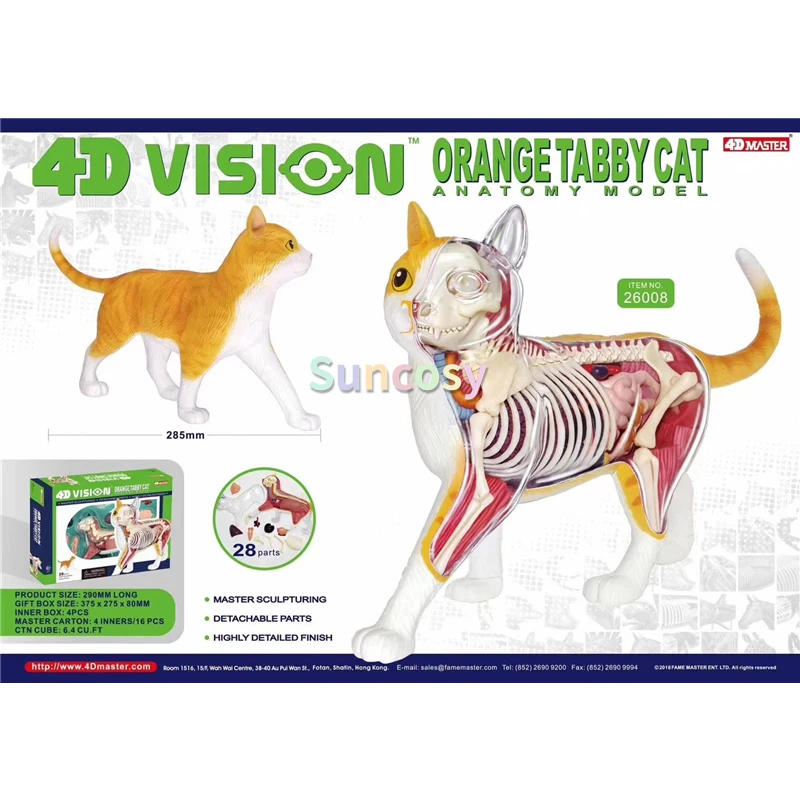 4D VISION Animal Dissection 29: Cat Anatomy Model Black, 59% OFF