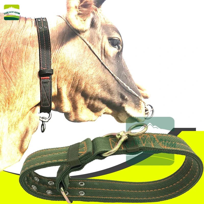 Canvas Tying Cattle Neck Sleeve Tied Cattle Special Rope Tied Cattle ...