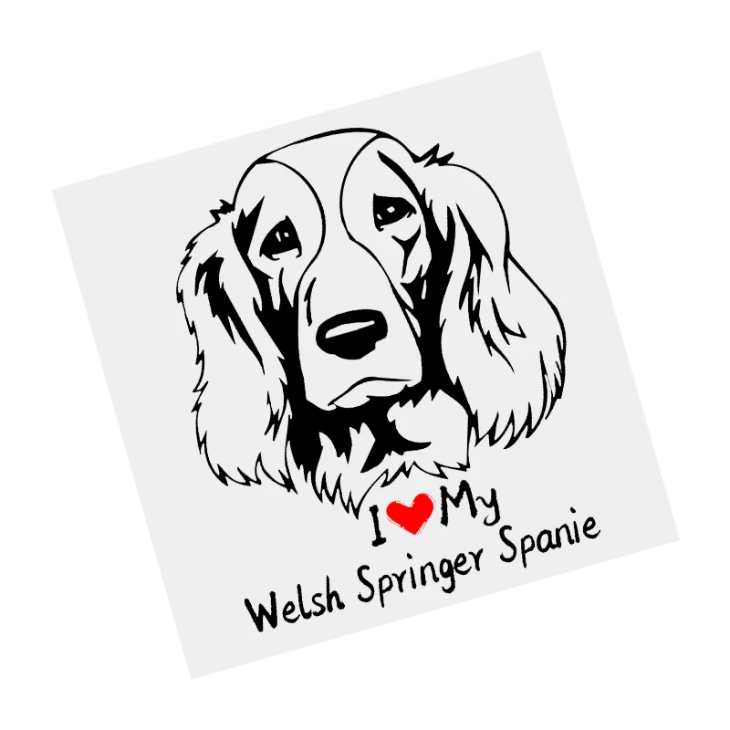 Welsh Springer Spaniel Black