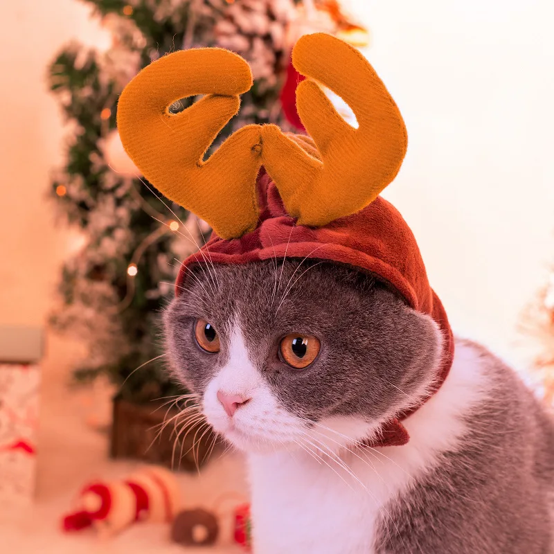 Christmas Cat Costumes | That's So Fetch!