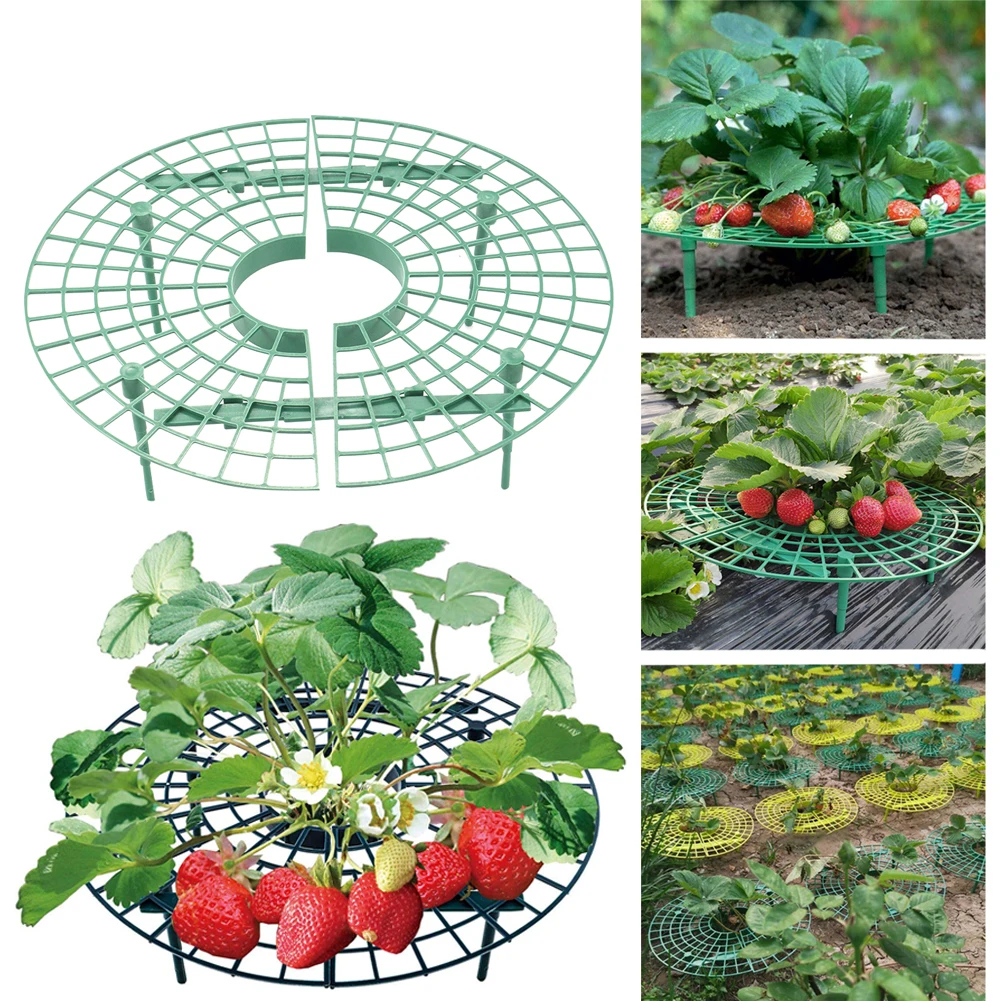 Strawberry-Growing-Stander-Frame-Holder-Balcony-Planting-Rack-Fruit ...