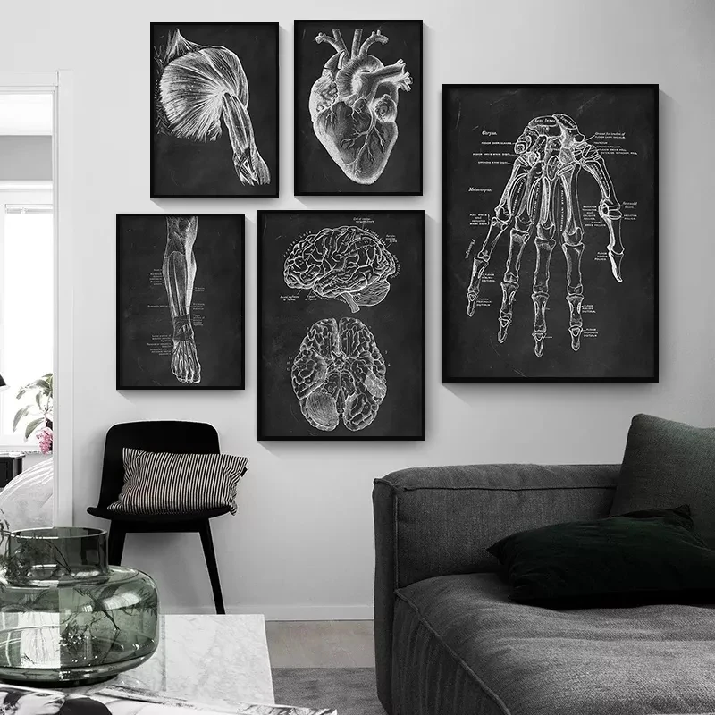 Digital Prints Vintage Canvas Medical Clinic Wall Picture Human Anatomy ...