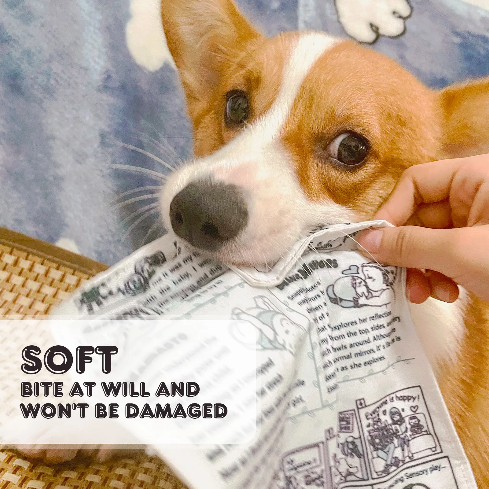 Newspaper Dog Toy | That's So Fetch!