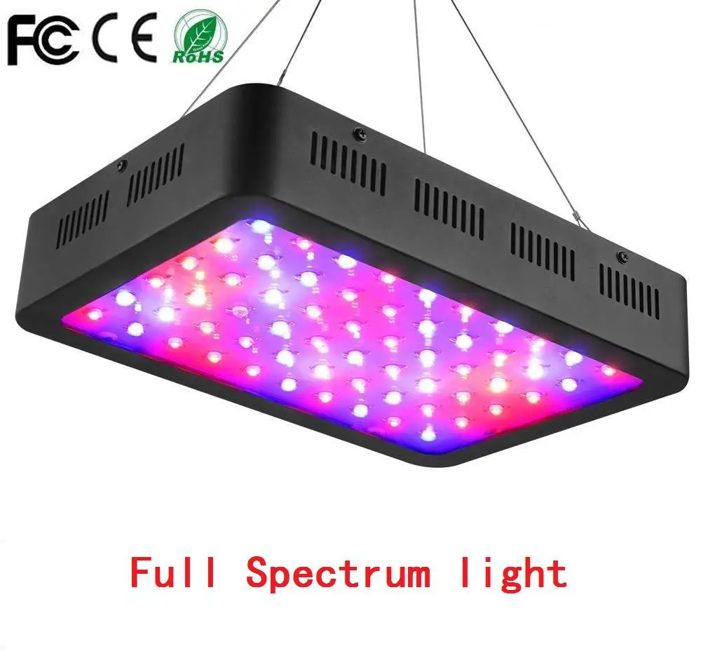 DishyKooker 1000W 100LEDs Black Shell Dual Chip Full Spectrum Indoor ...