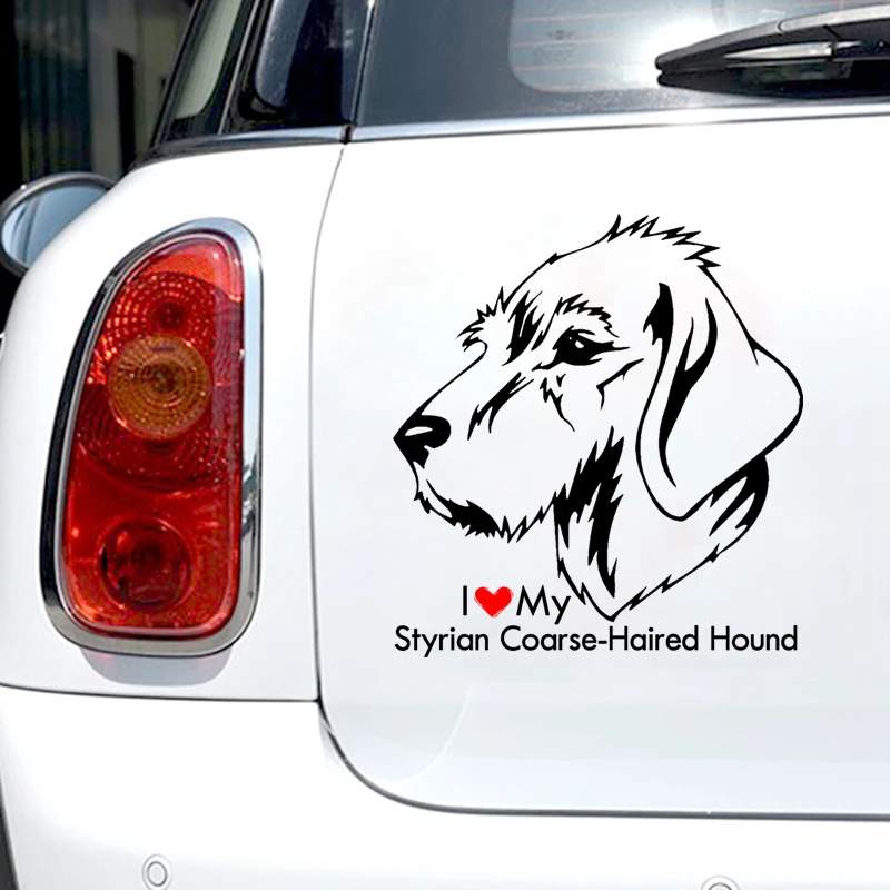 How Long Do Styrian Coarse Haired Hound Live