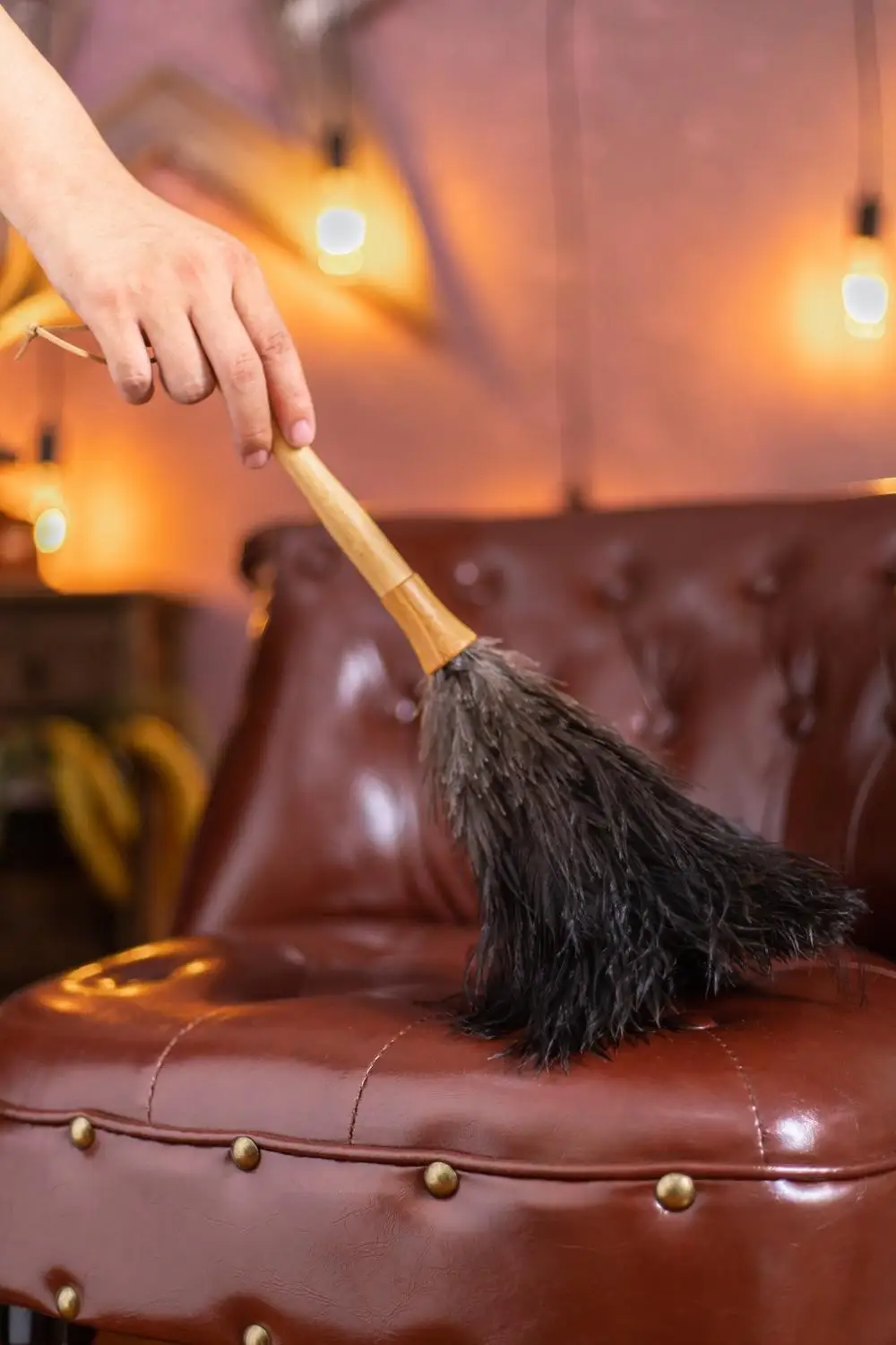 Ostrich-feather-dusters-Home-cleaning-feather-brush-anti-static-Feather ...