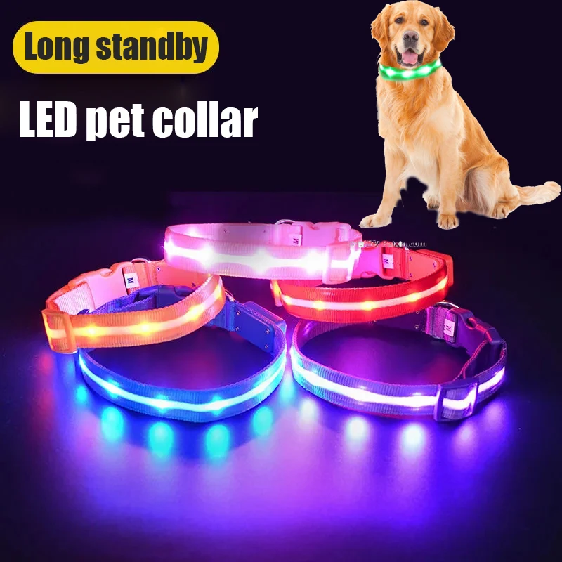 LED-coleira-brilhante-com-lanterna-gato-coleiras-seguran-a-noturna-pet ...