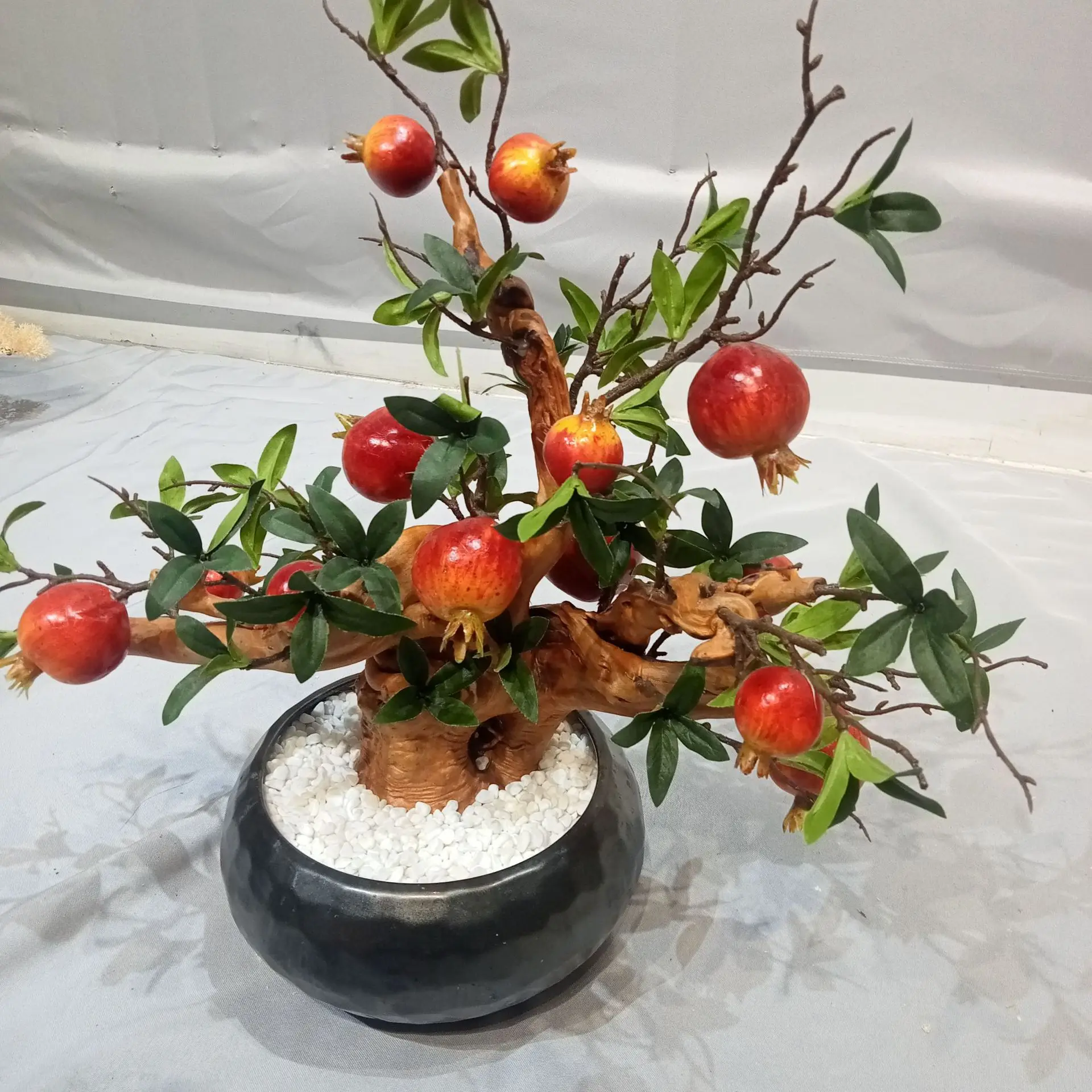 Pomegranate Tree Bonsai