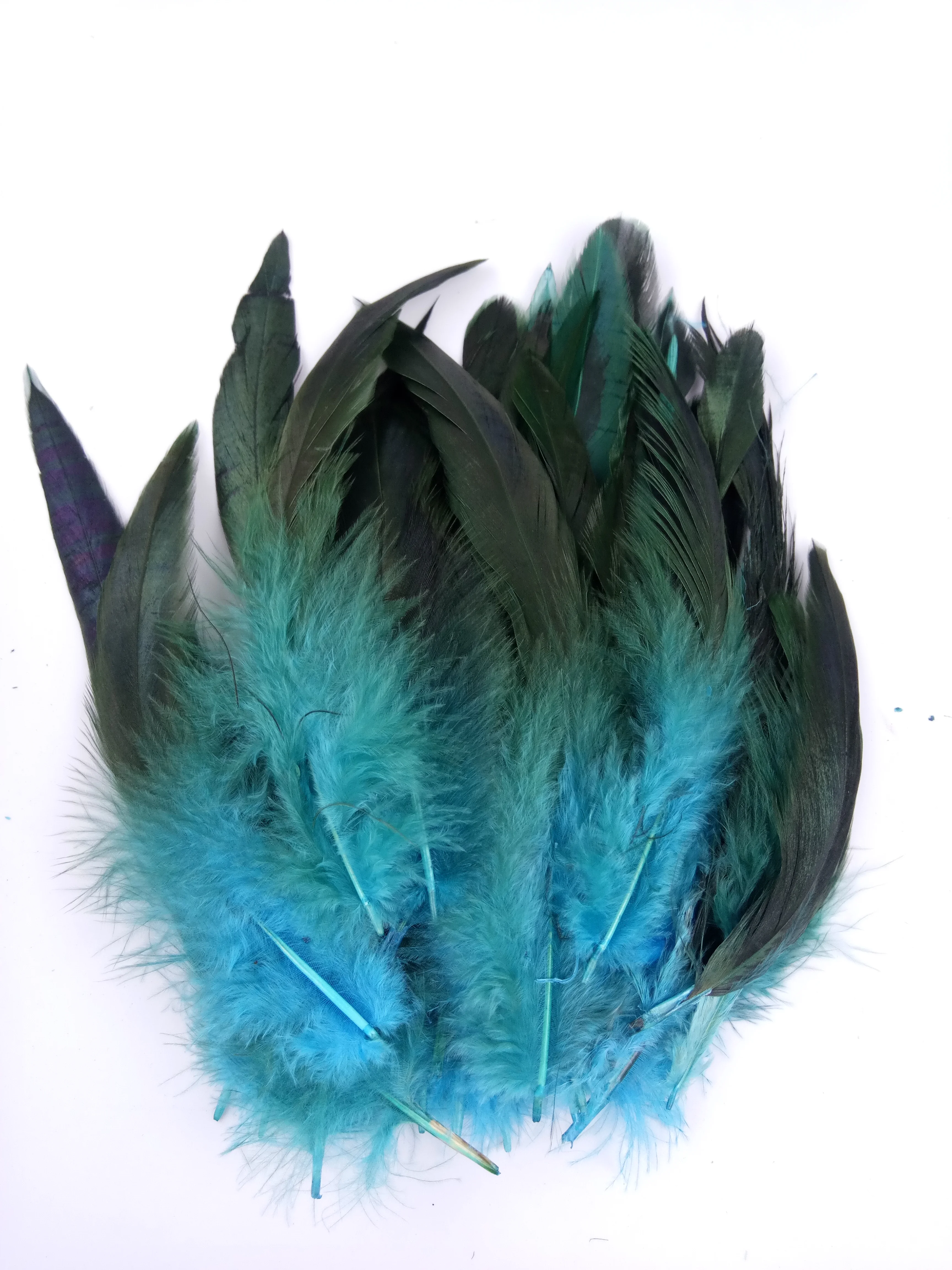 Plumas de Gallo Azul lago para manualidades, Plumas de faisán de pollo ...