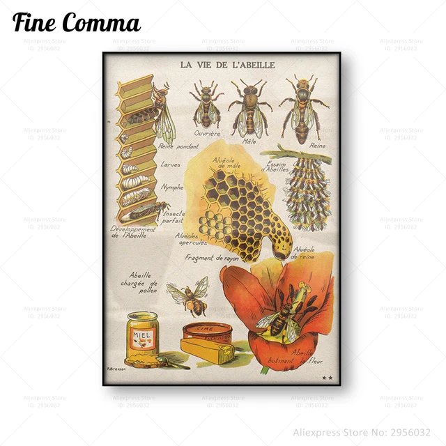 Vintage Honey Bee Print
