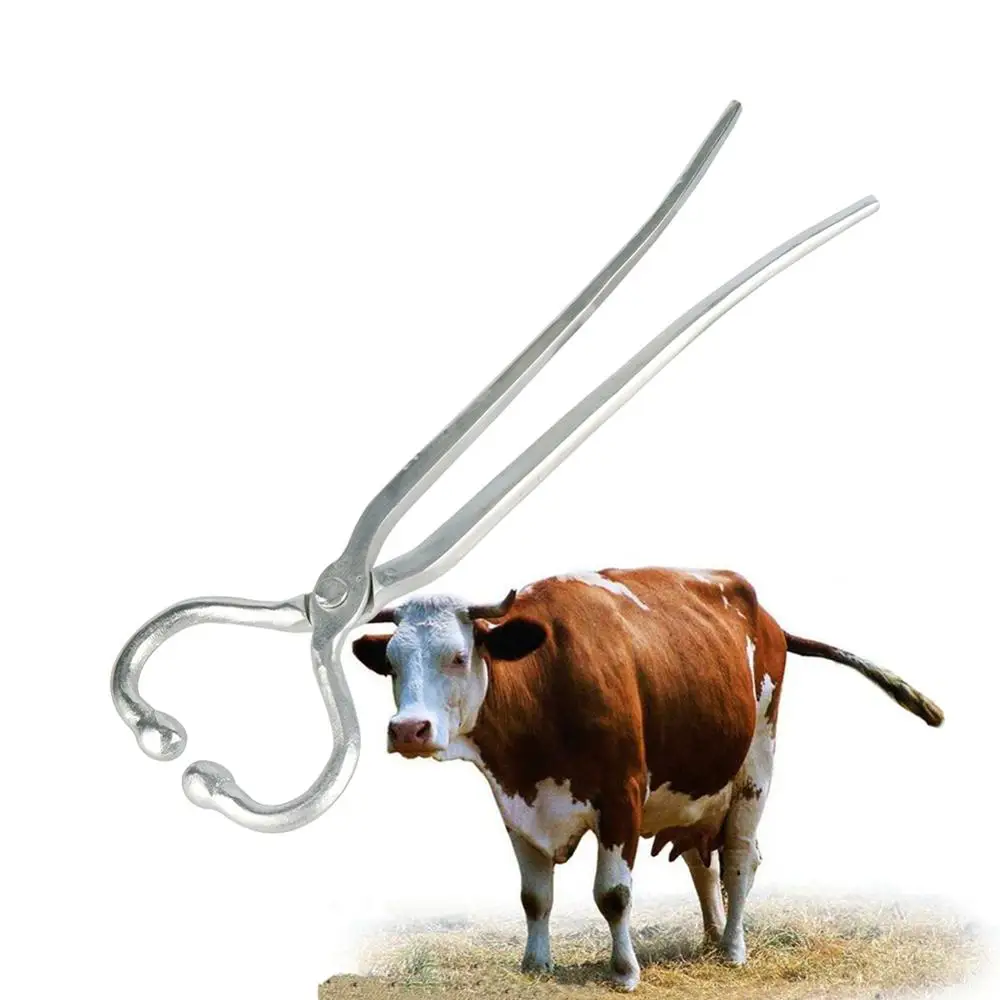Cattle-Livestock-Tool-Stainless-Steel-Cow-Nose-Ring-Carrying-Pliers ...