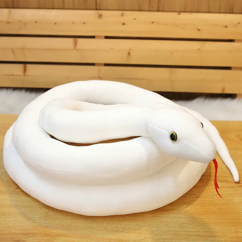 White Anaconda Snake