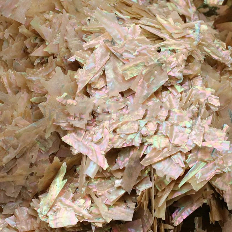 Concha de abulón para decoración de uñas, adorno 3D Irregular, rebanada ...