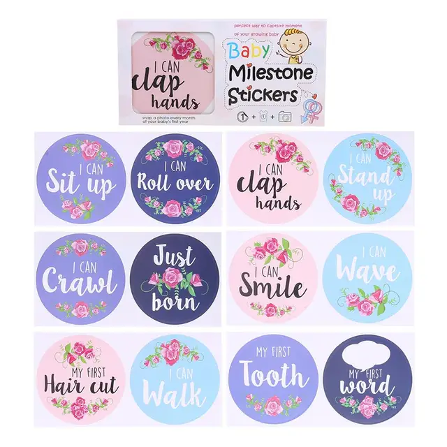 Baby Pregnant Women Monthly Photograph Sticker Fun Month Milestone ...