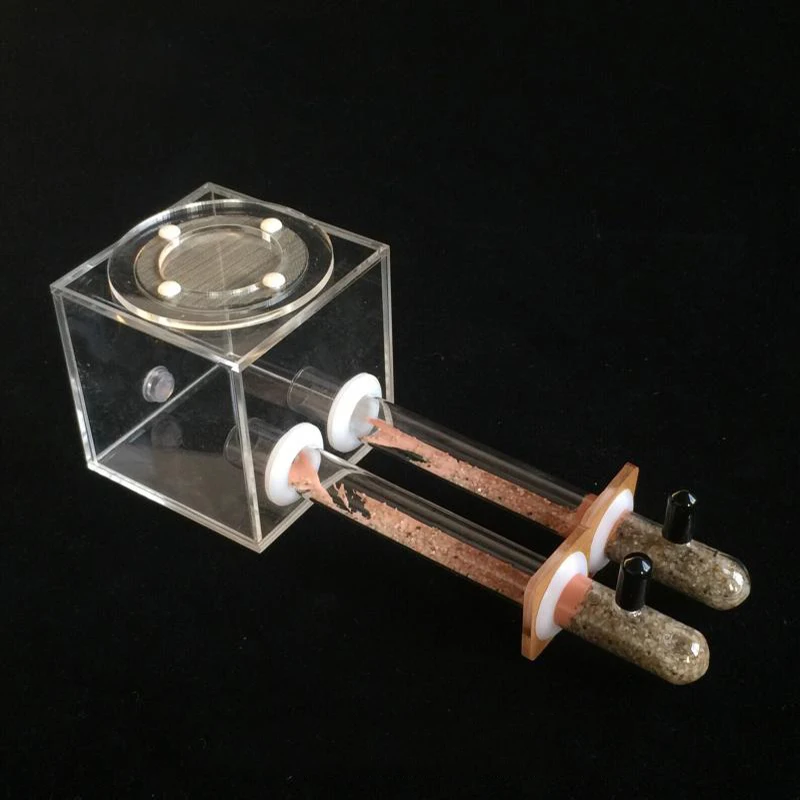 Nest Tube Ants | Ants Breeding | Tube Bracket | Test Tube | Ant Farm ...