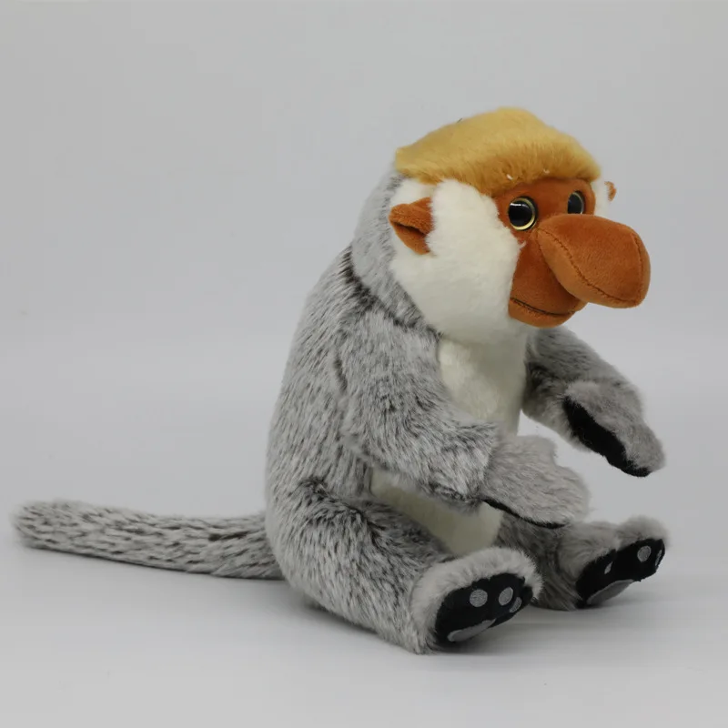 Big Nose Monkey
