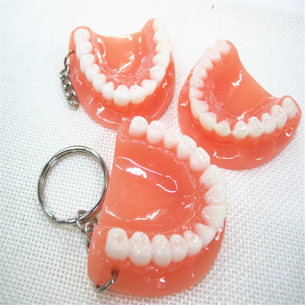 New-Creative-Fashion-Tooth-Key-Chain-Resin-Molar-Upper-Jaw-Model-Shape ...