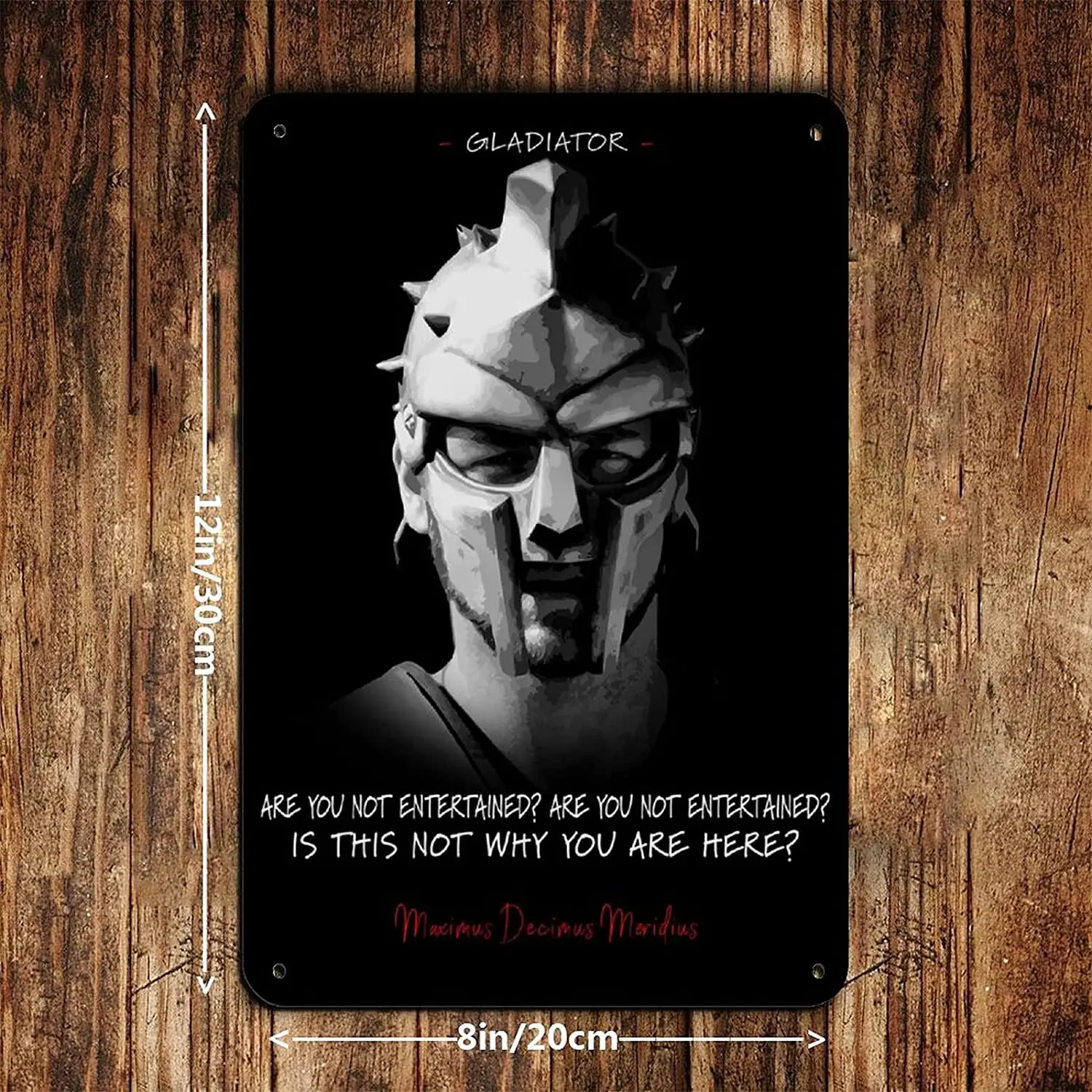 Gladiator Quotes Maximus