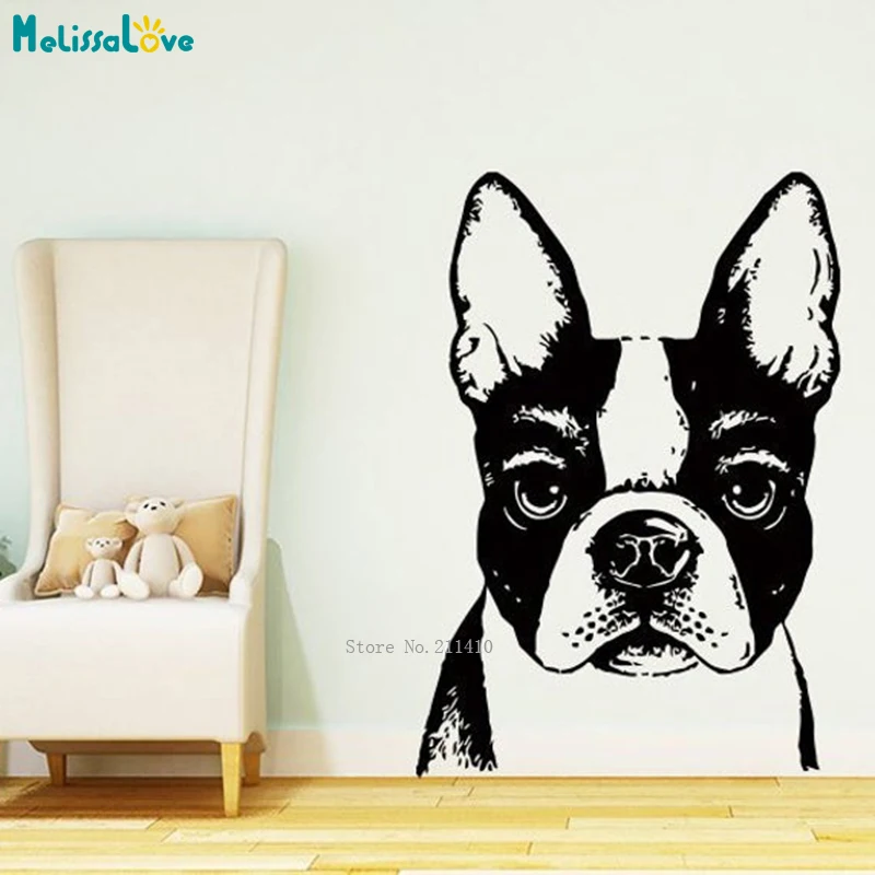 Fawn Boston Terrier Decal Dog Wall Decals Veterinary Vinyl Stickers ...